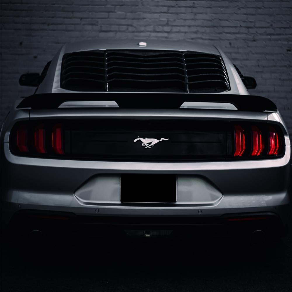 GT500 Style Carbon Fiber Spoiler - Ford Mustang